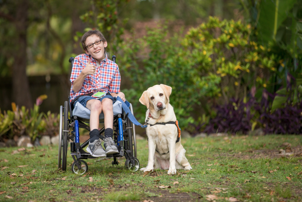 Assistance-Dogs-Queensland-Empower Assistance Dogs