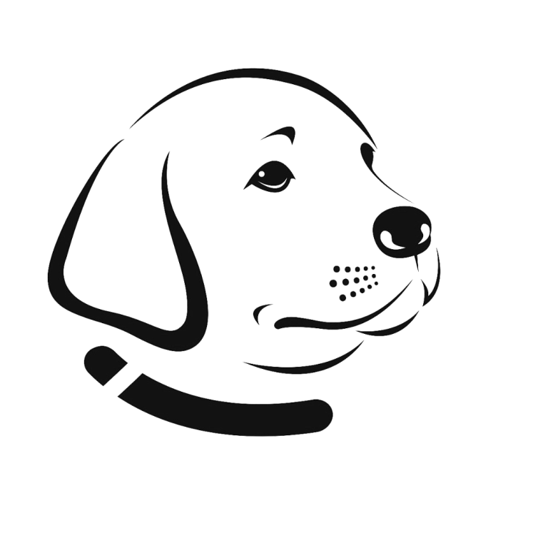 Welcome to Empower Assistance Dogs Queensland, Australia