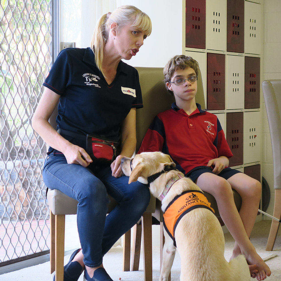 Assistance-Dogs-Queensland-Empower Assistance Dogs