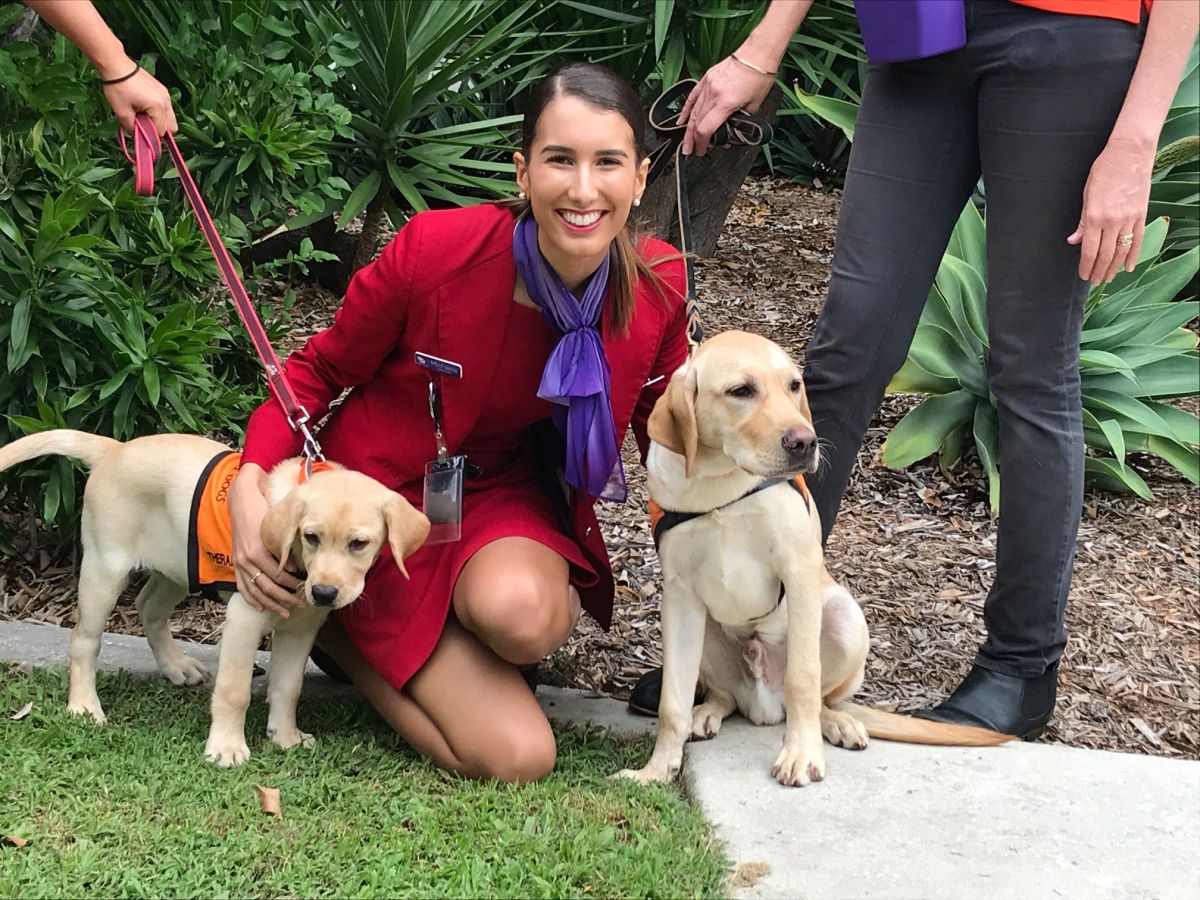 Therapy & Facility Dogs - Empower Assistance Dogs