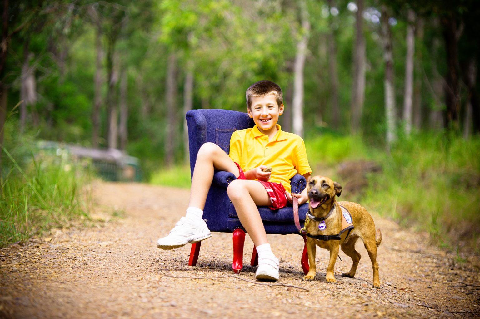 Assistance-Dogs-Queensland-Empower Assistance Dogs