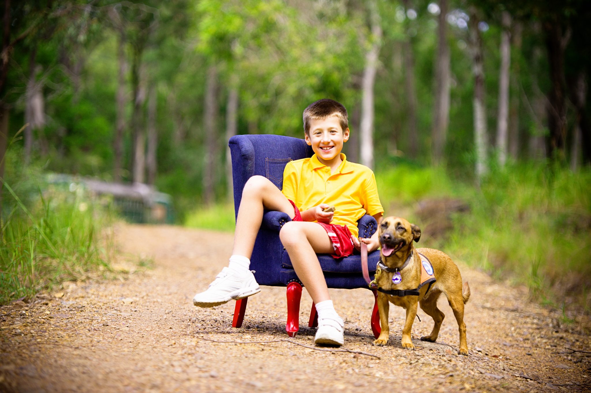 Assistance-Dogs-Queensland-Empower Assistance Dogs