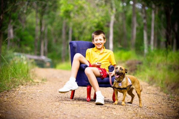 Assistance-Dogs-Queensland-Empower Assistance Dogs